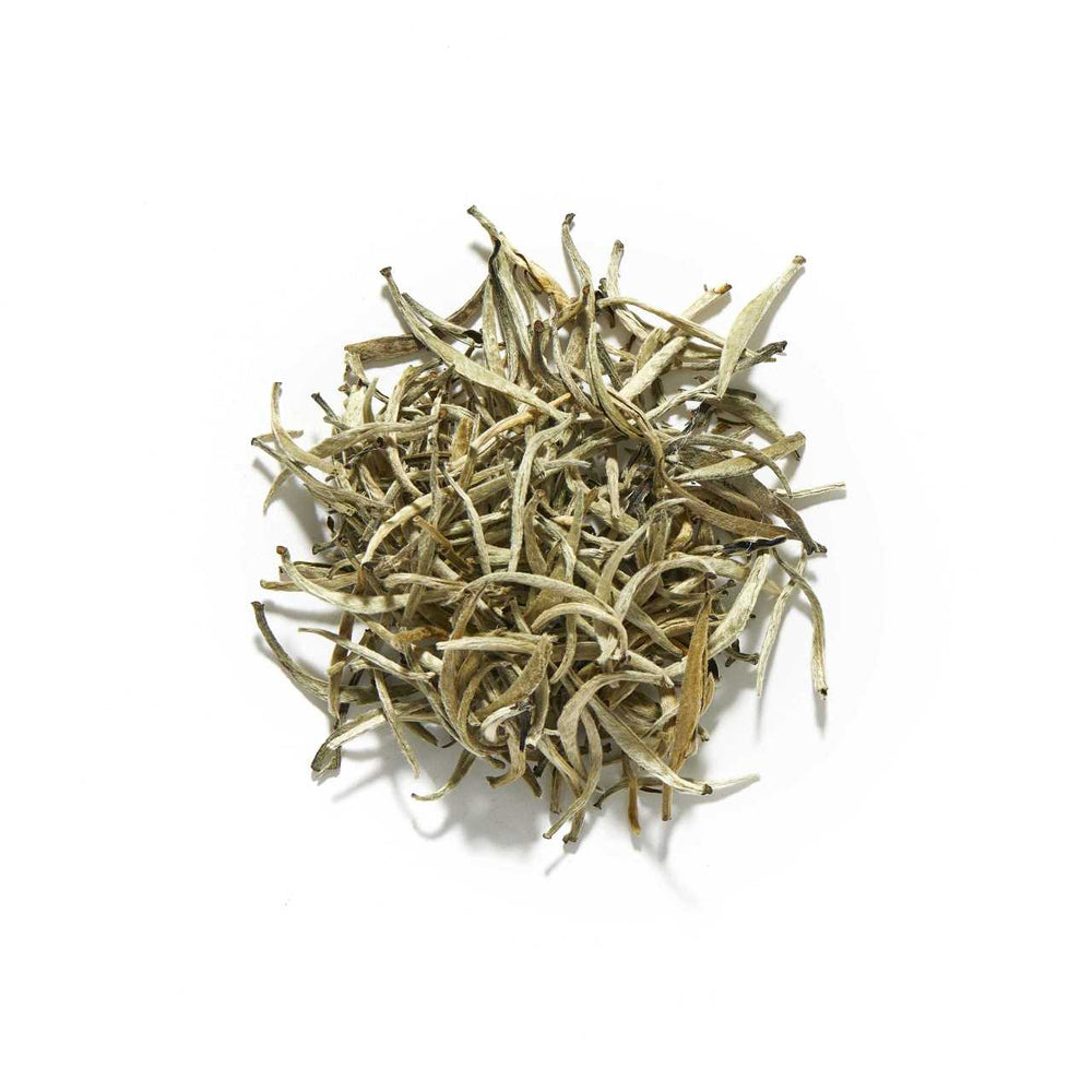Silver Tips White Tea | Rare Ceylon White Tea | The Tea Makers